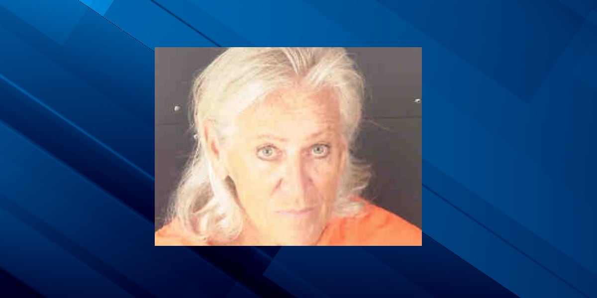 Woman accused of hitting, killing two children out on bond Woman accused of hitting, killing two children out on bond