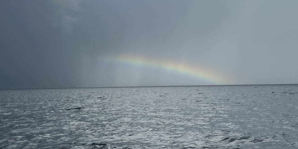 WATCH: Waterspout caught on camera over Charlotte Harbor WATCH: Waterspout caught on camera over Charlotte Harbor