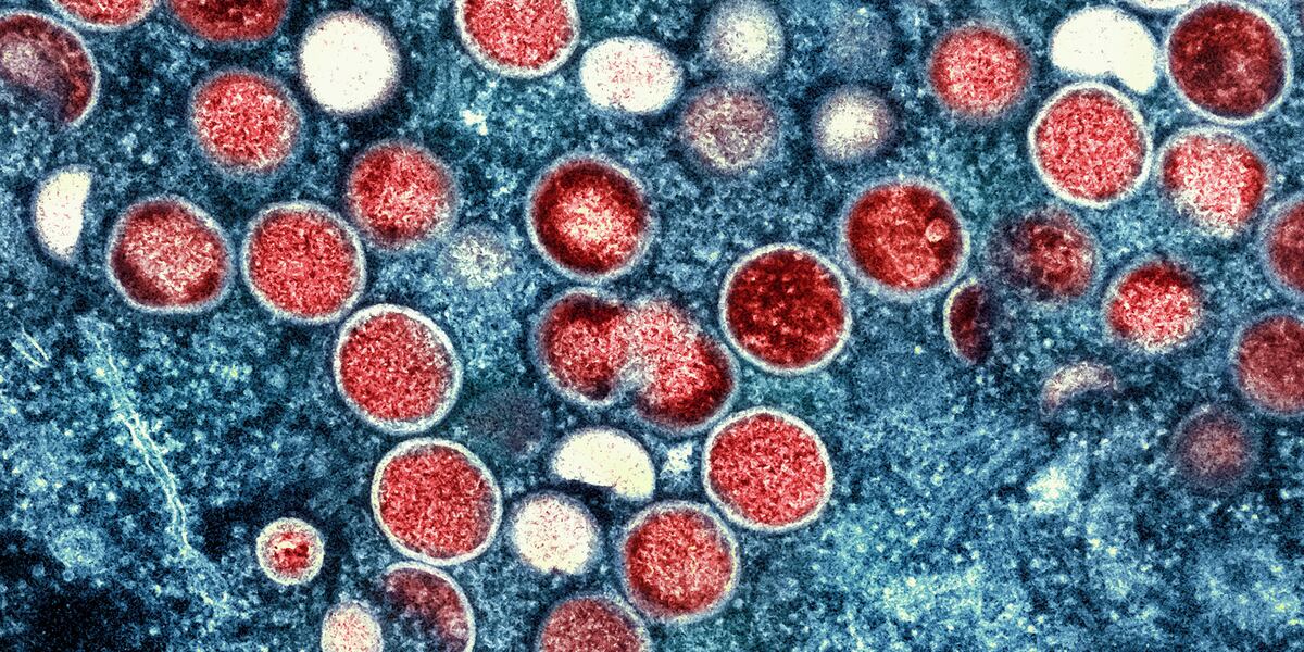 Who Declares Mpox Outbreaks In Africa A Global Health Emergency As A New Form Of The Virus Spreads
