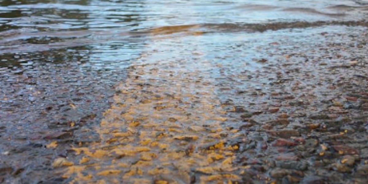 FEMA releases updated flood maps for Sarasota County FEMA releases updated flood maps for Sarasota County